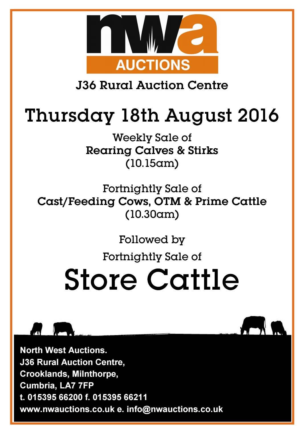 J36 Store Cattle by North West Auctions - Issuu