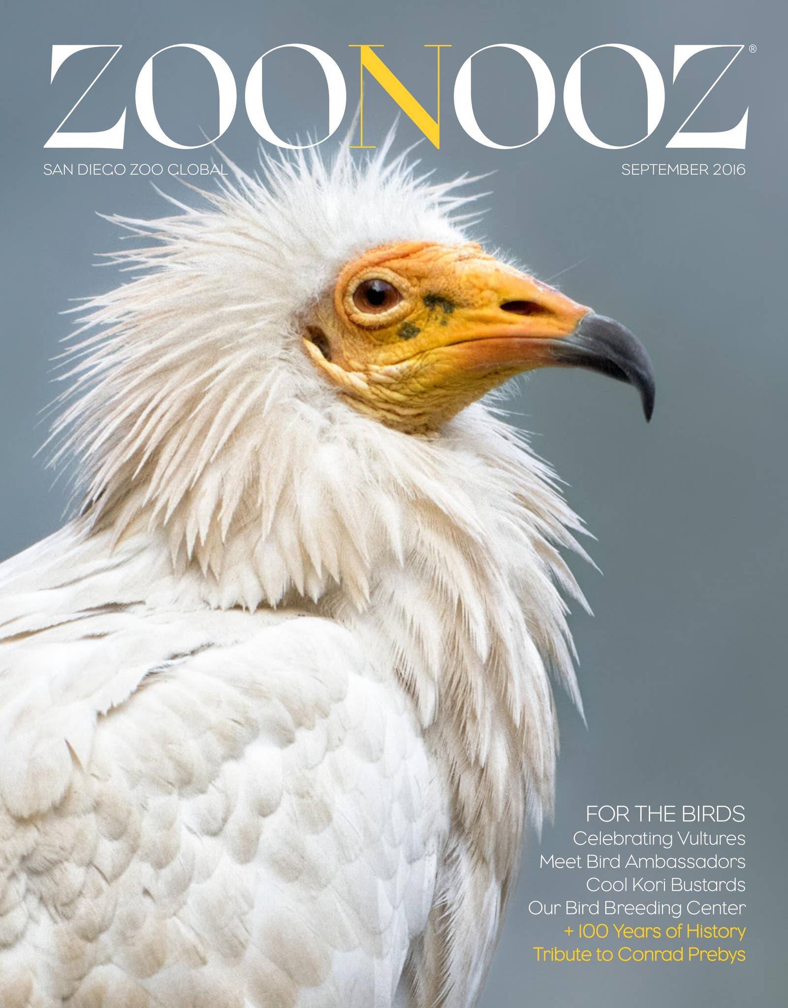 ZOONOOZ September 2016 by San Diego Zoo Wildlife Alliance - Issuu