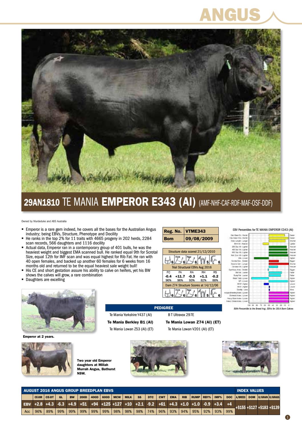 2016-17 Australian Beef Sire Directory - Angus & Red Angus breeds by ...