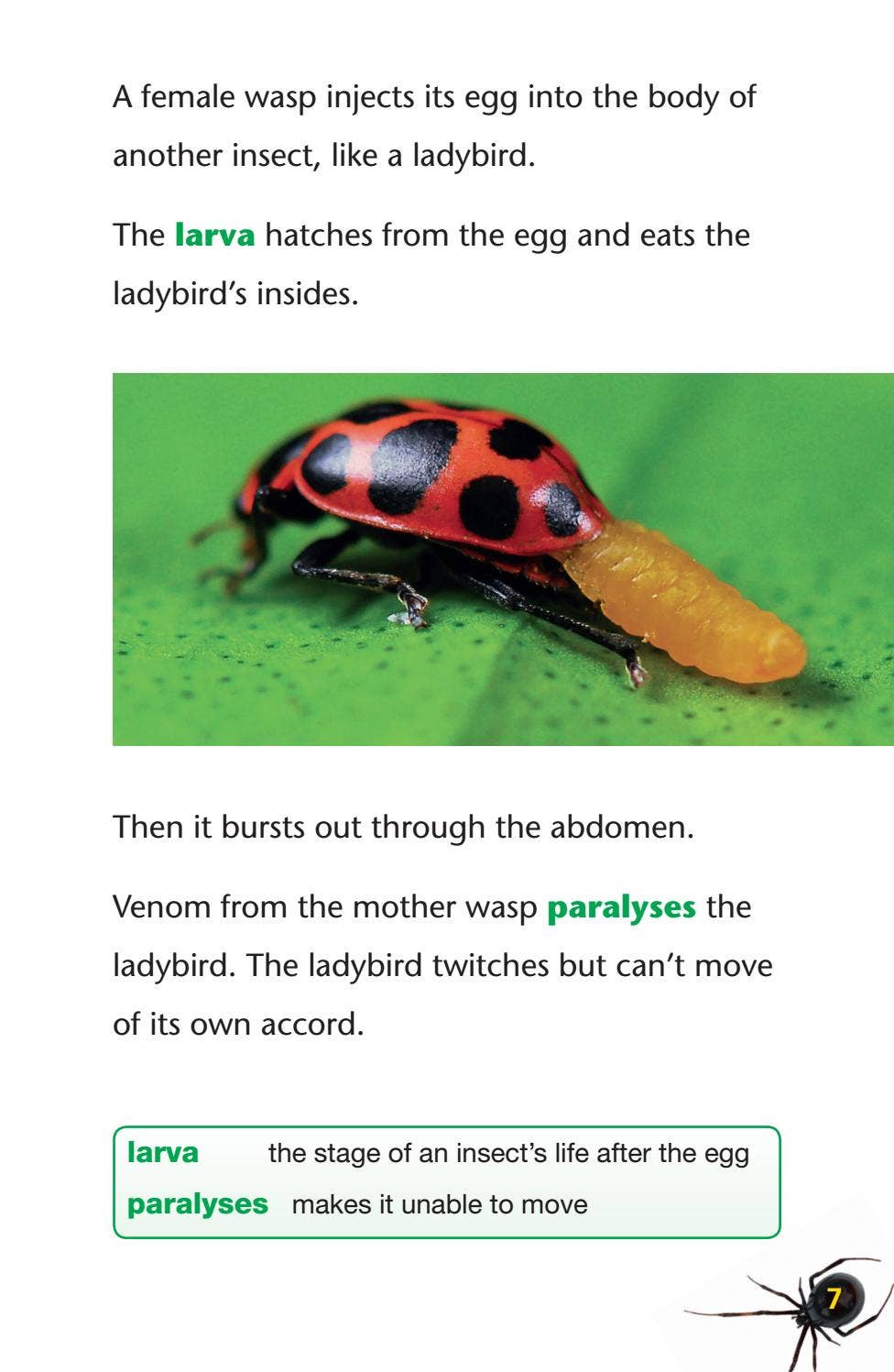 Zombie Wasps by Collins - Issuu