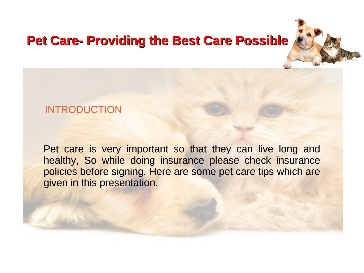 Pet Care- Providing the Best Care Possible by Cavan Vets - Issuu