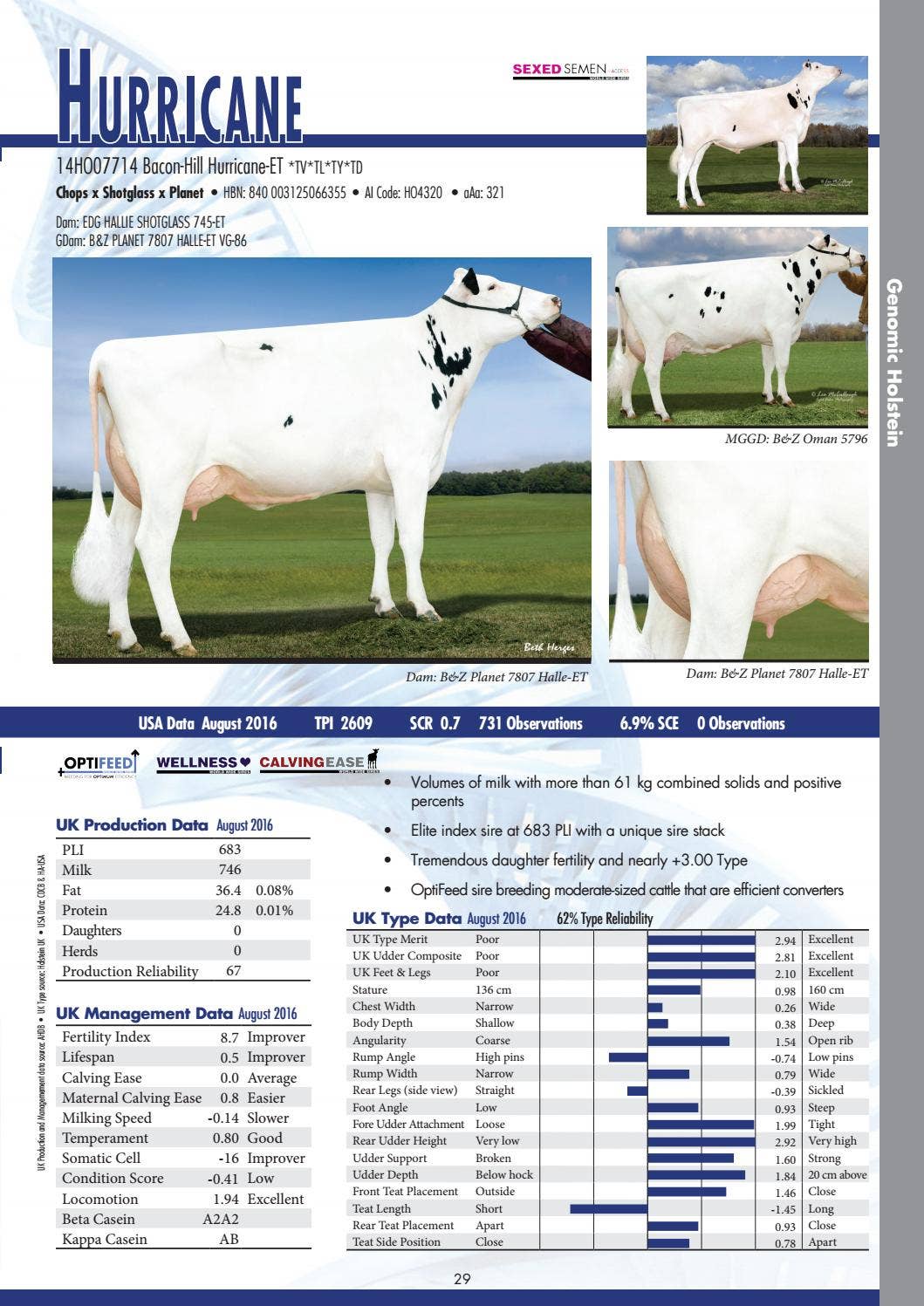 World Wide Sires UK August 2016 Catalog by World Wide Sires, LTD - Issuu