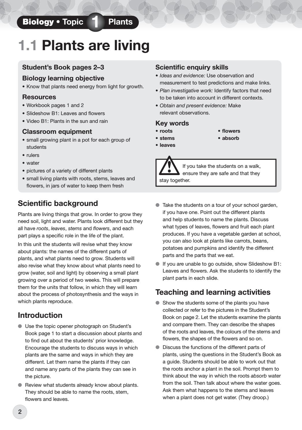 International Primary Science Teacher's Guide 5 by Collins - Issuu