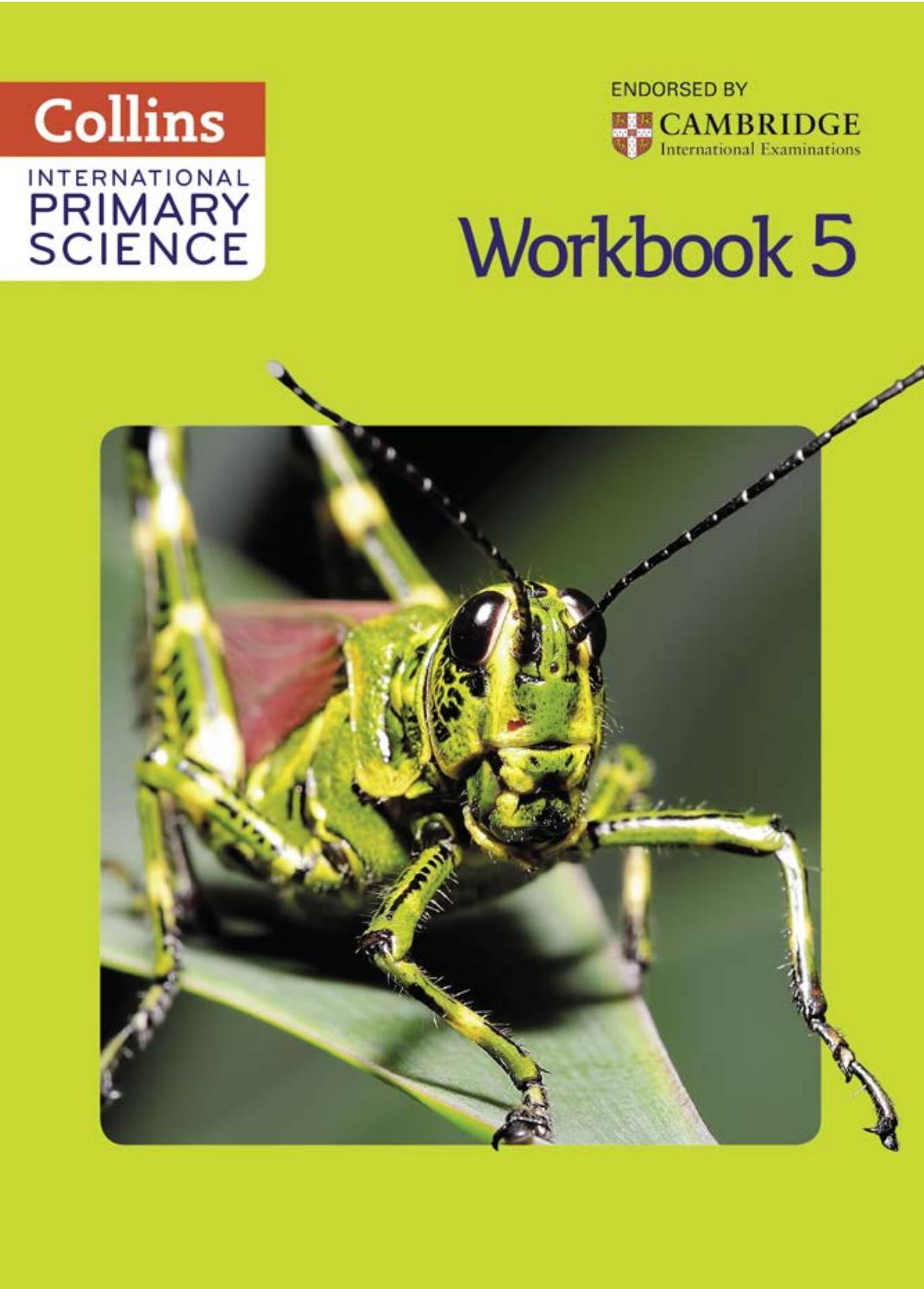 International Primary Science Workbook 5 by Collins - Issuu