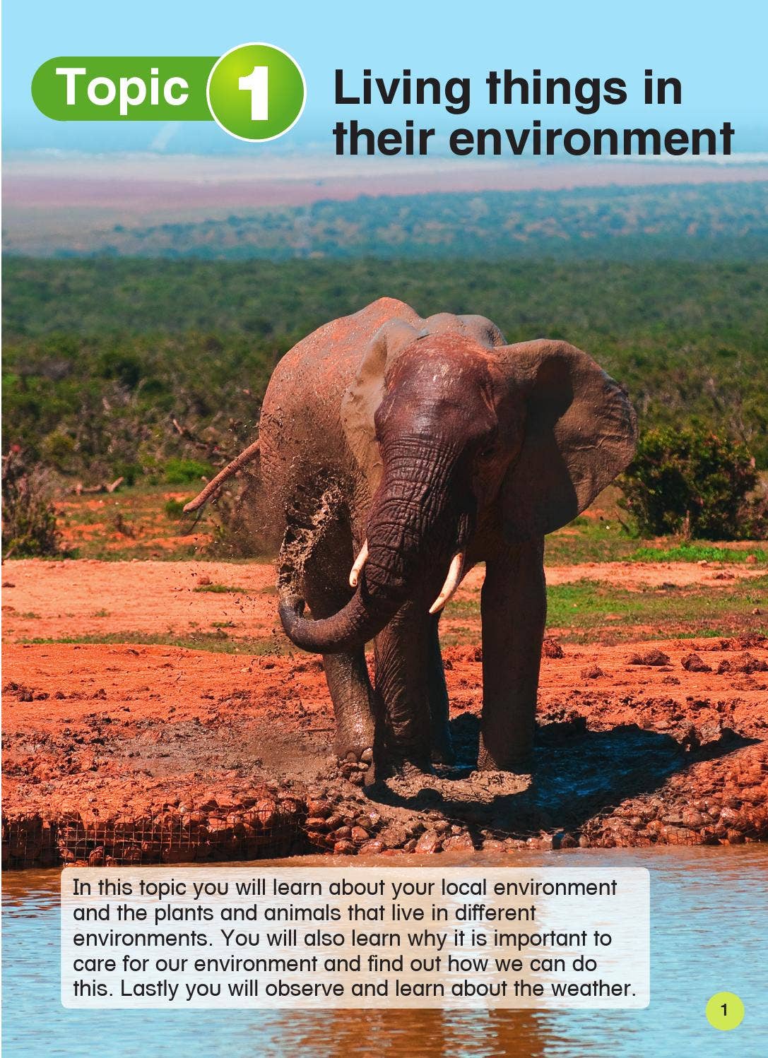 International Primary Science Student Book 2 by Collins - Issuu