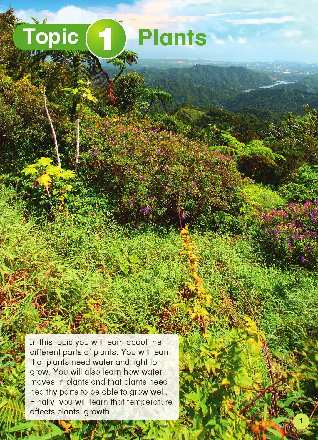 International Primary Science Student Book 3 by Collins - Issuu
