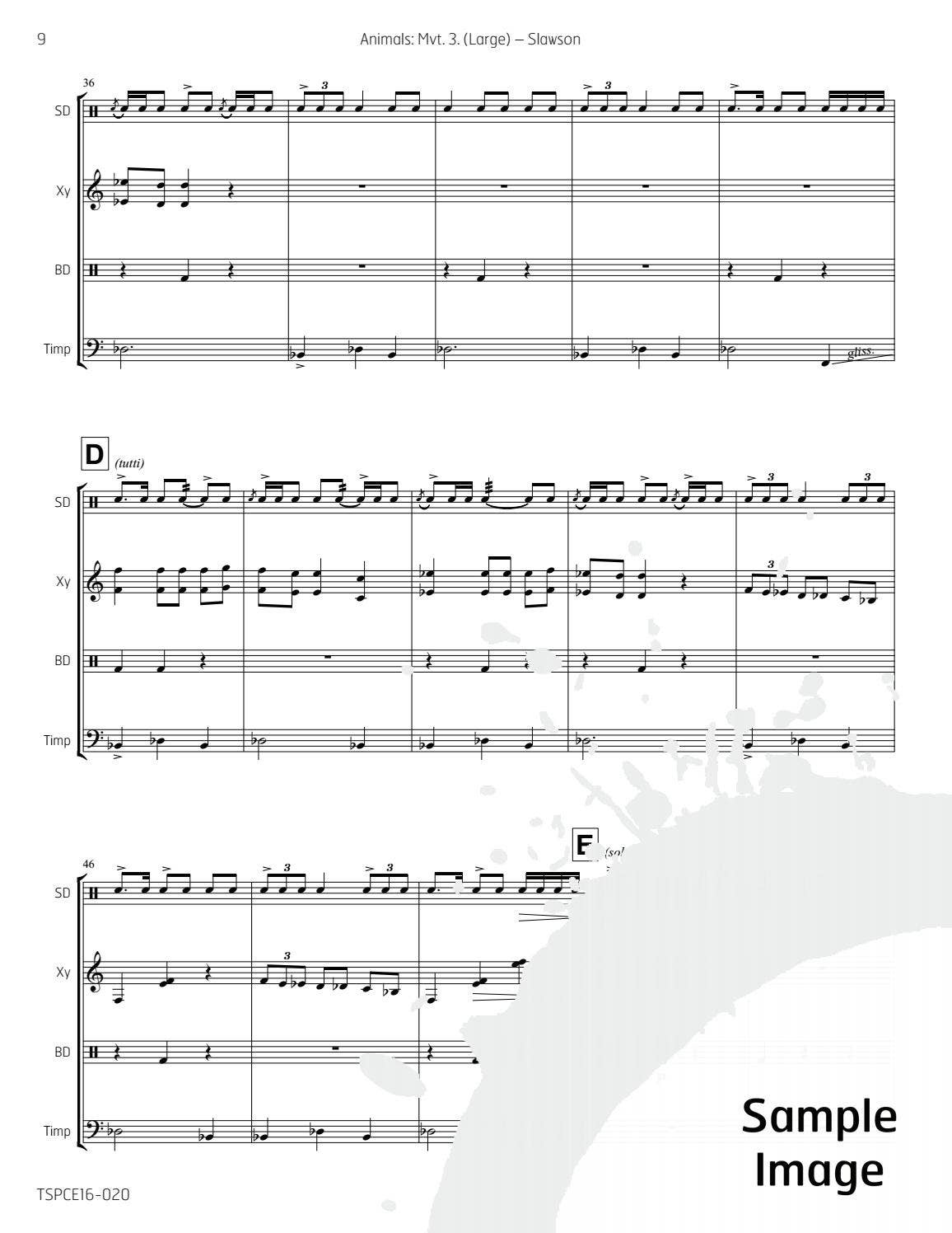 Animals sample by Tapspace - Issuu