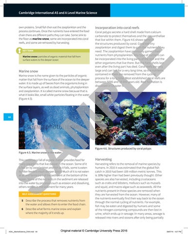 Preview Cambridge International AS and A Level Marine Science by ...