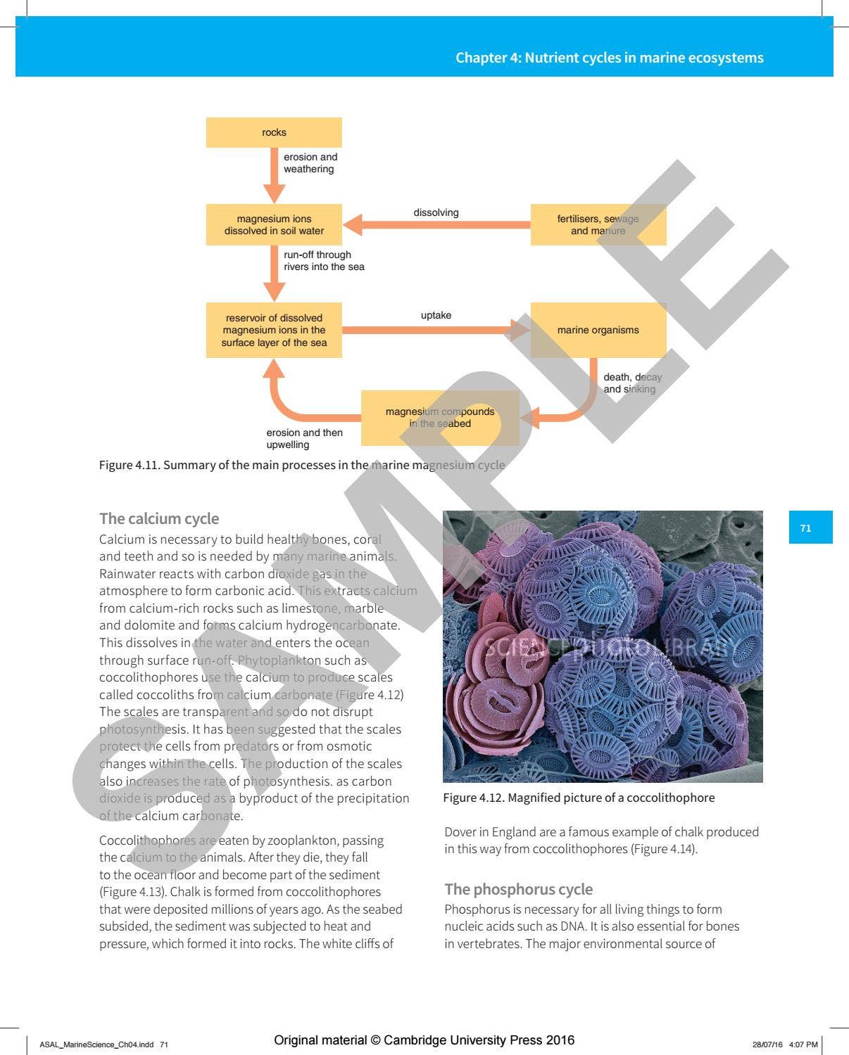 Preview Cambridge International AS and A Level Marine Science by ...