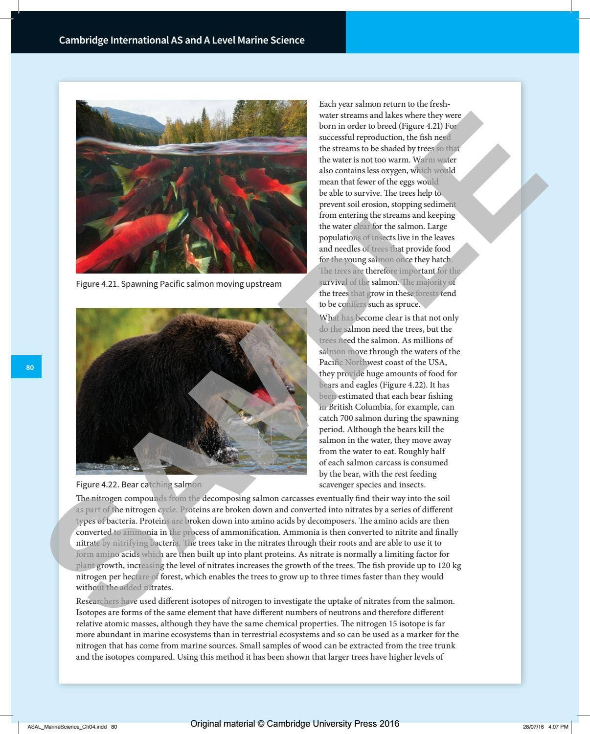 Preview Cambridge International AS and A Level Marine Science by ...