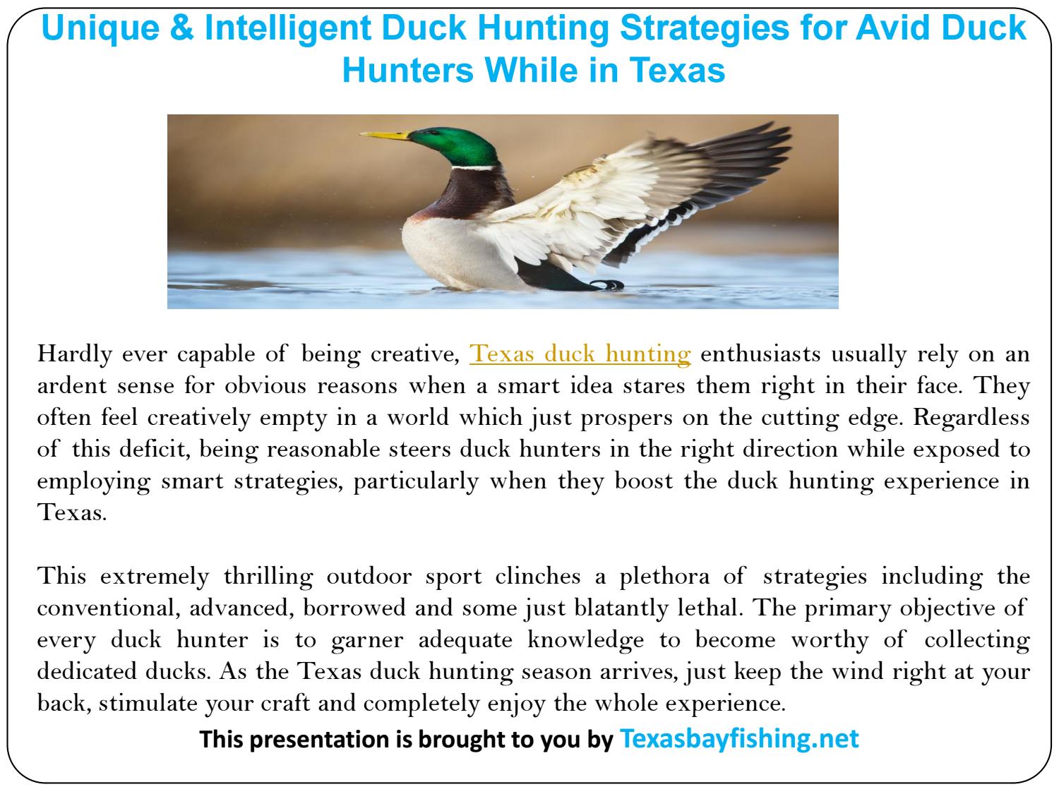 Unique & intelligent duck hunting strategies for avid duck hunters ...