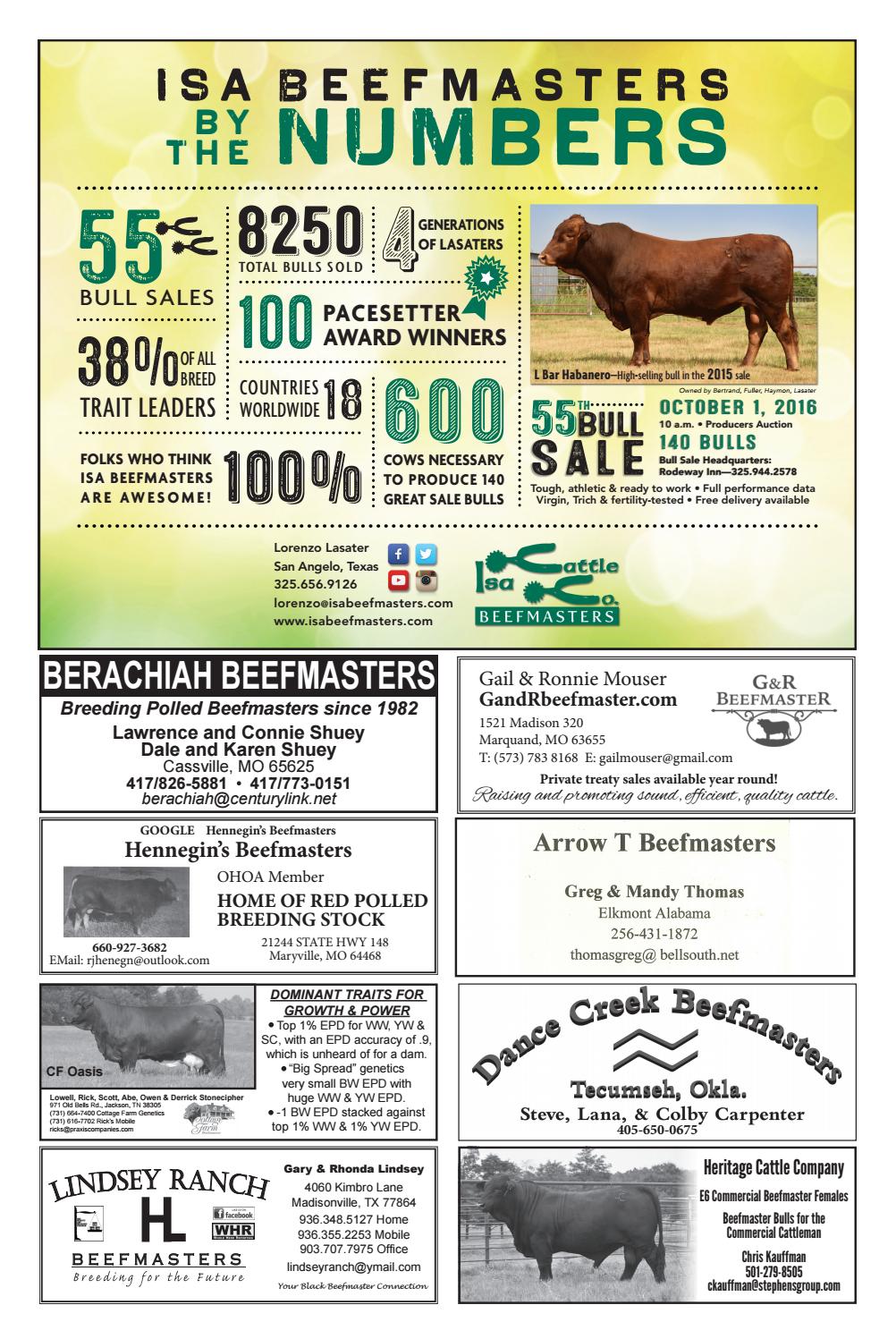 The Beefmaster Pay Weight: Fall 2016 Issue by Beefmaster Breeders ...