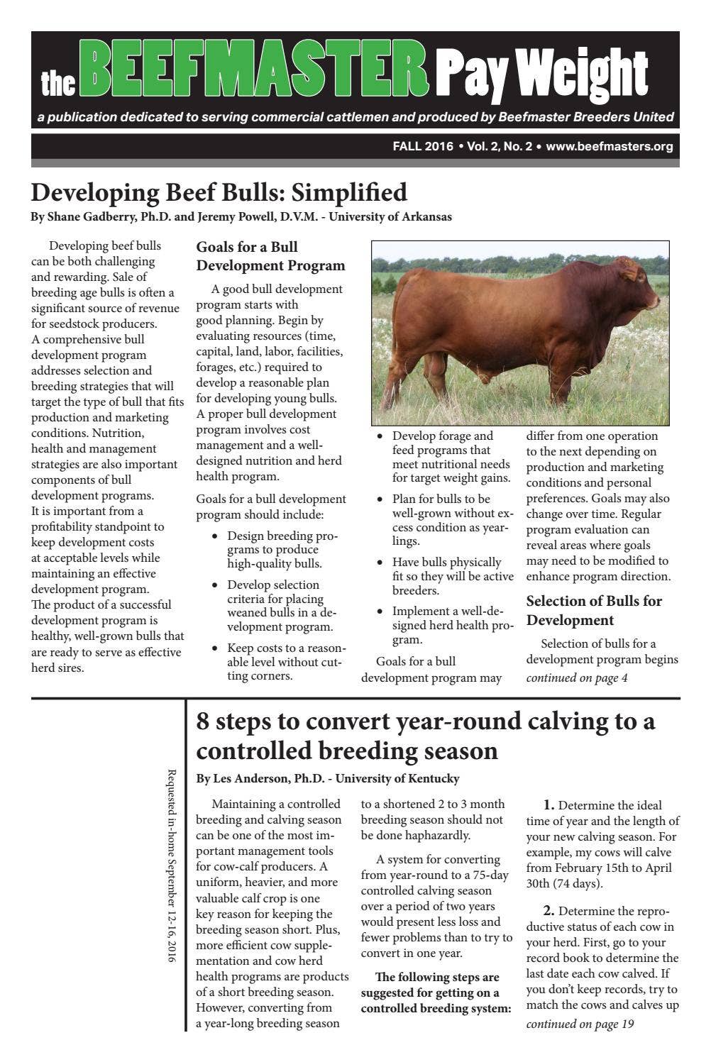 The Beefmaster Pay Weight: Fall 2016 Issue by Beefmaster Breeders ...