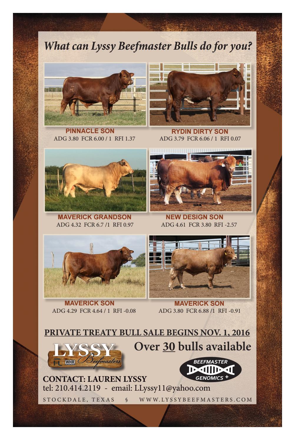 The Beefmaster Pay Weight: Fall 2016 Issue by Beefmaster Breeders ...
