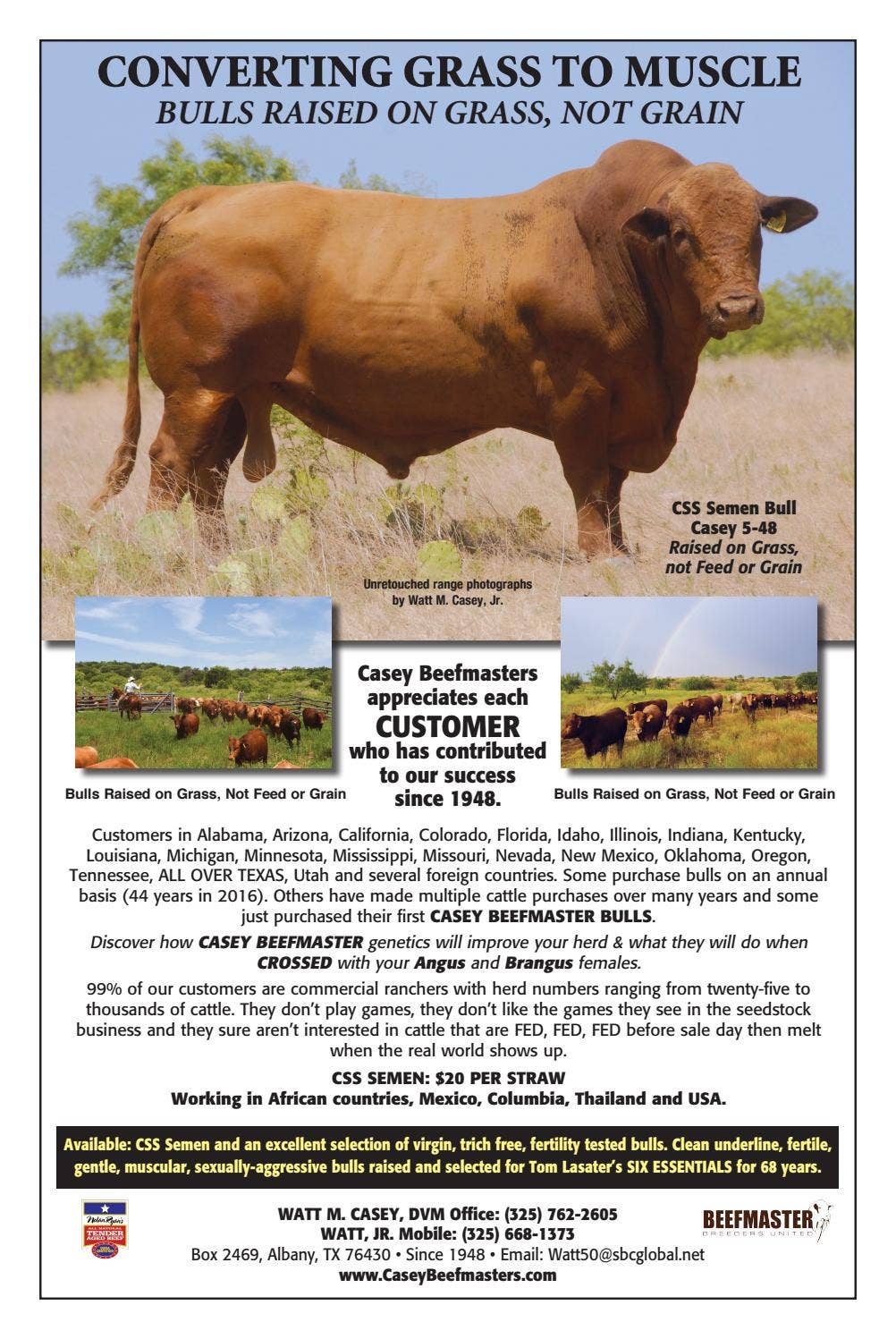 The Beefmaster Pay Weight: Fall 2016 Issue by Beefmaster Breeders ...