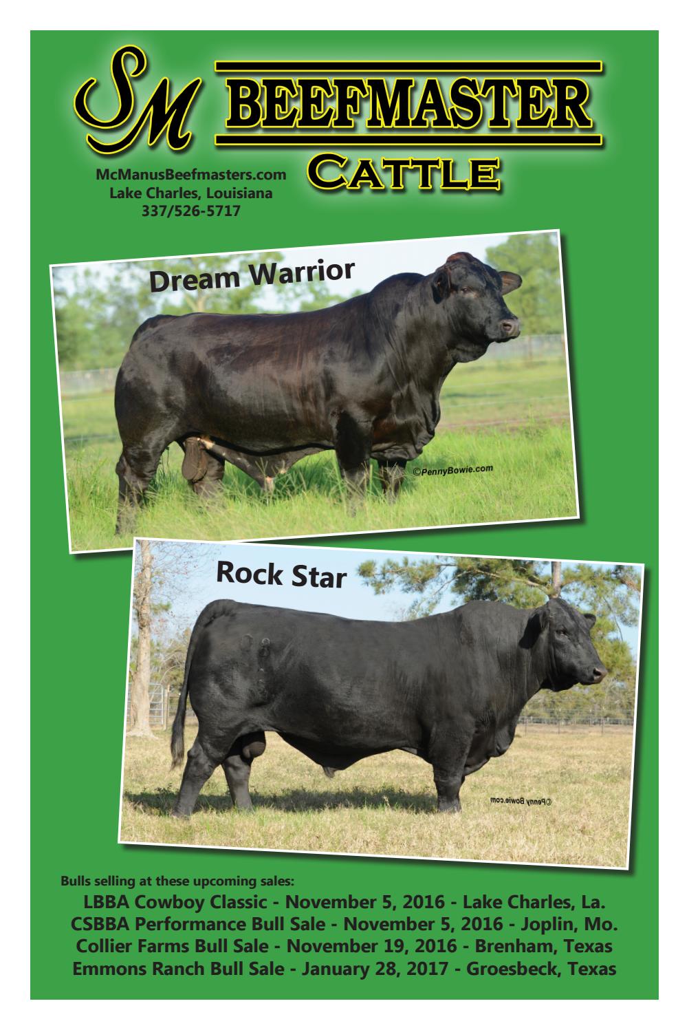 The Beefmaster Pay Weight: Fall 2016 Issue by Beefmaster Breeders ...