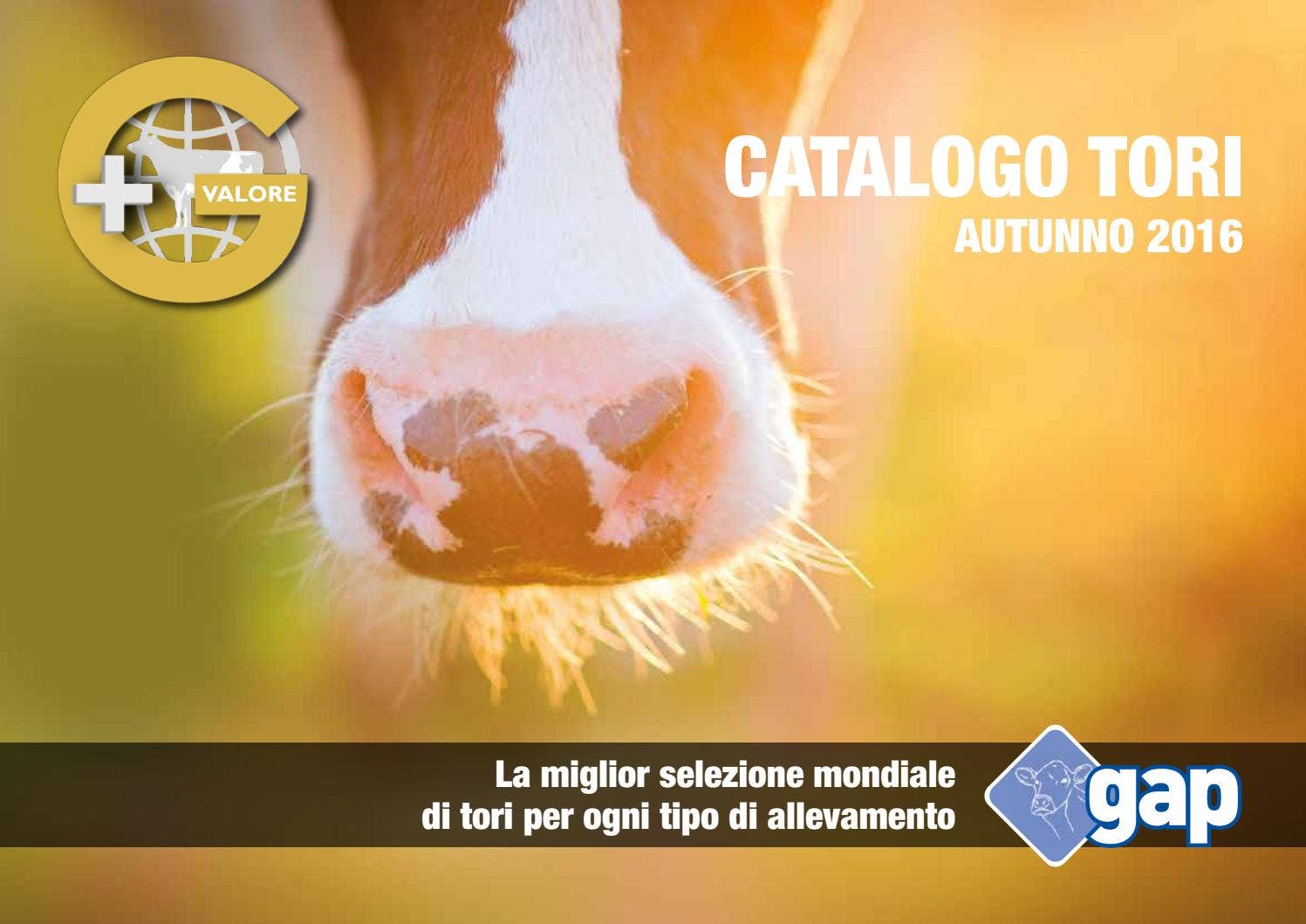 GAP Trade & Services - Catalogo Agosto 2016 by GAPTS - Issuu