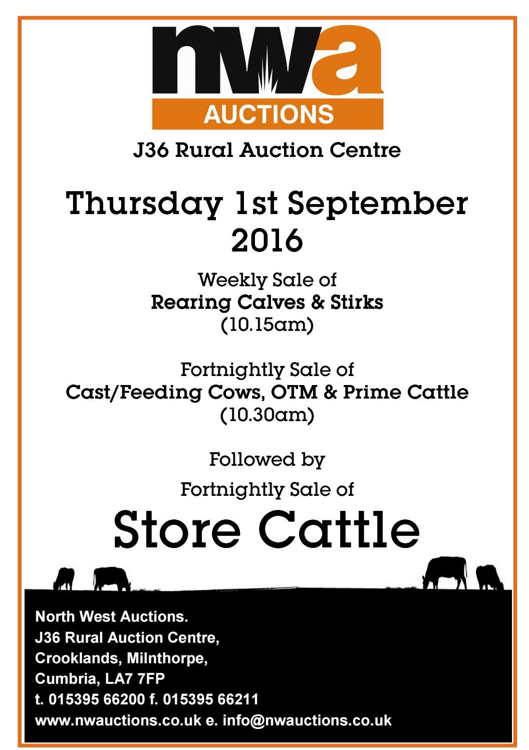 J36 Store Cattle by North West Auctions - Issuu