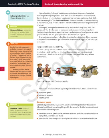 Cambridge IGCSE Business Studies: Coursebook with CD-ROM (third edition ...