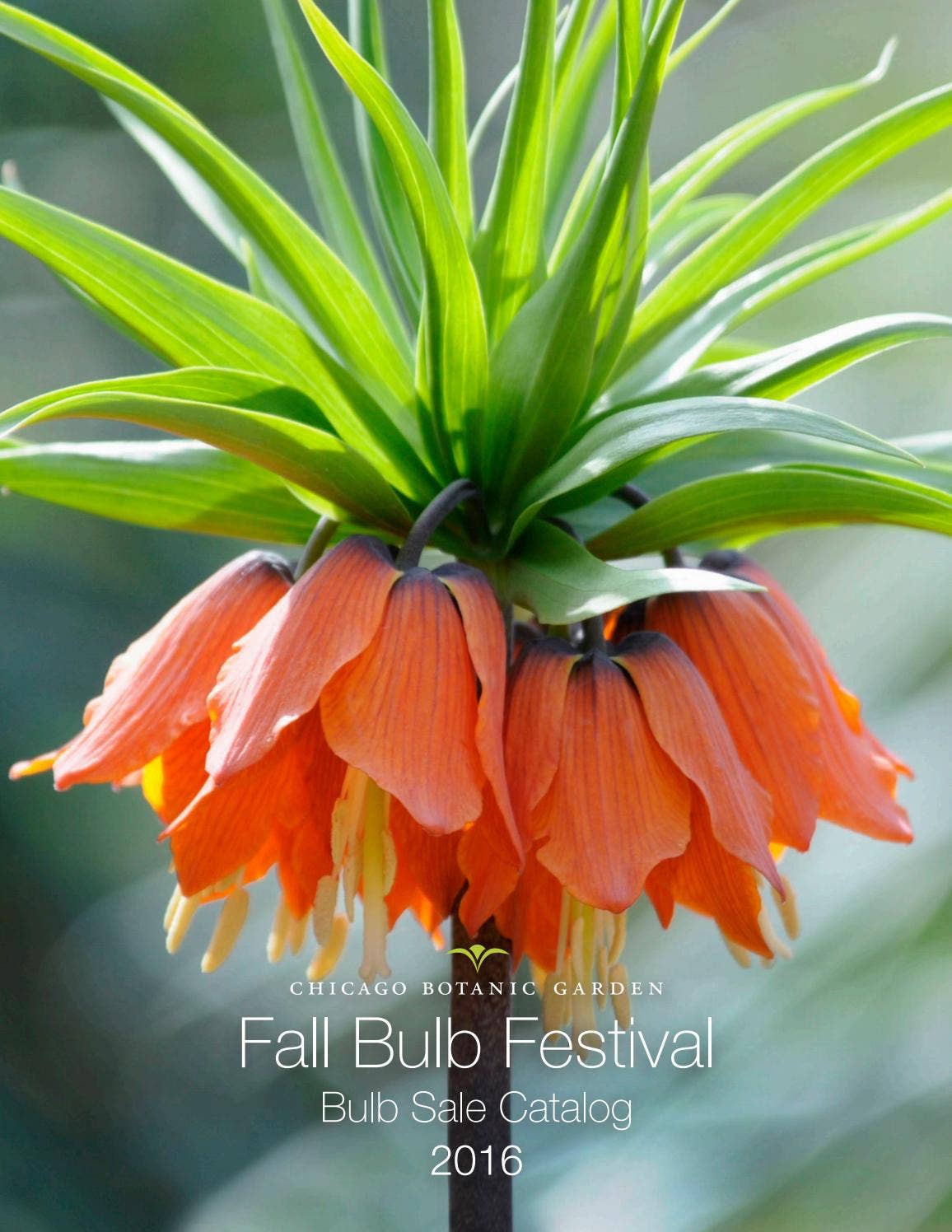 Bulb Sale Catalog 2016 by Chicago Botanic Garden - Issuu
