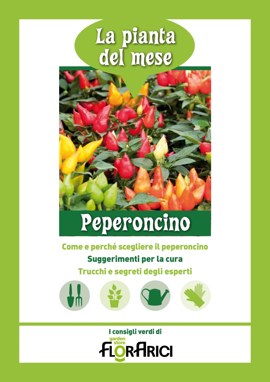 PEPERONCINO - La pianta del mese di Settembre 2016 di Florarici by ...