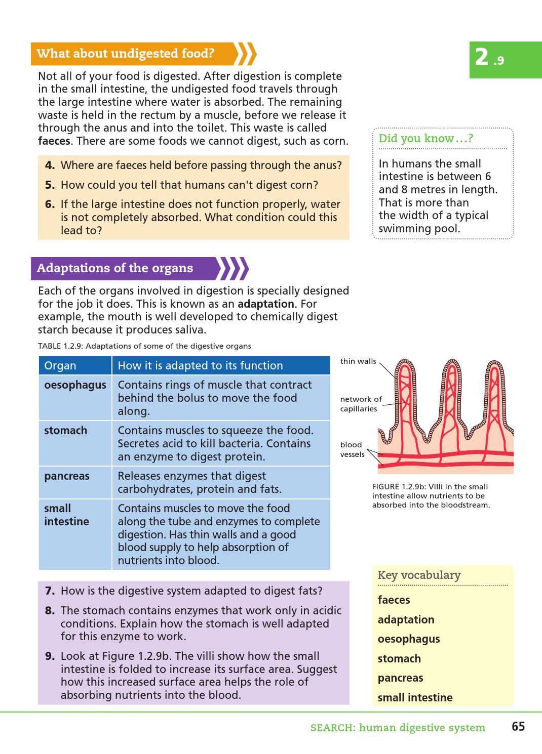 Key Stage 3 Science: Student Book 1 by Collins - Issuu