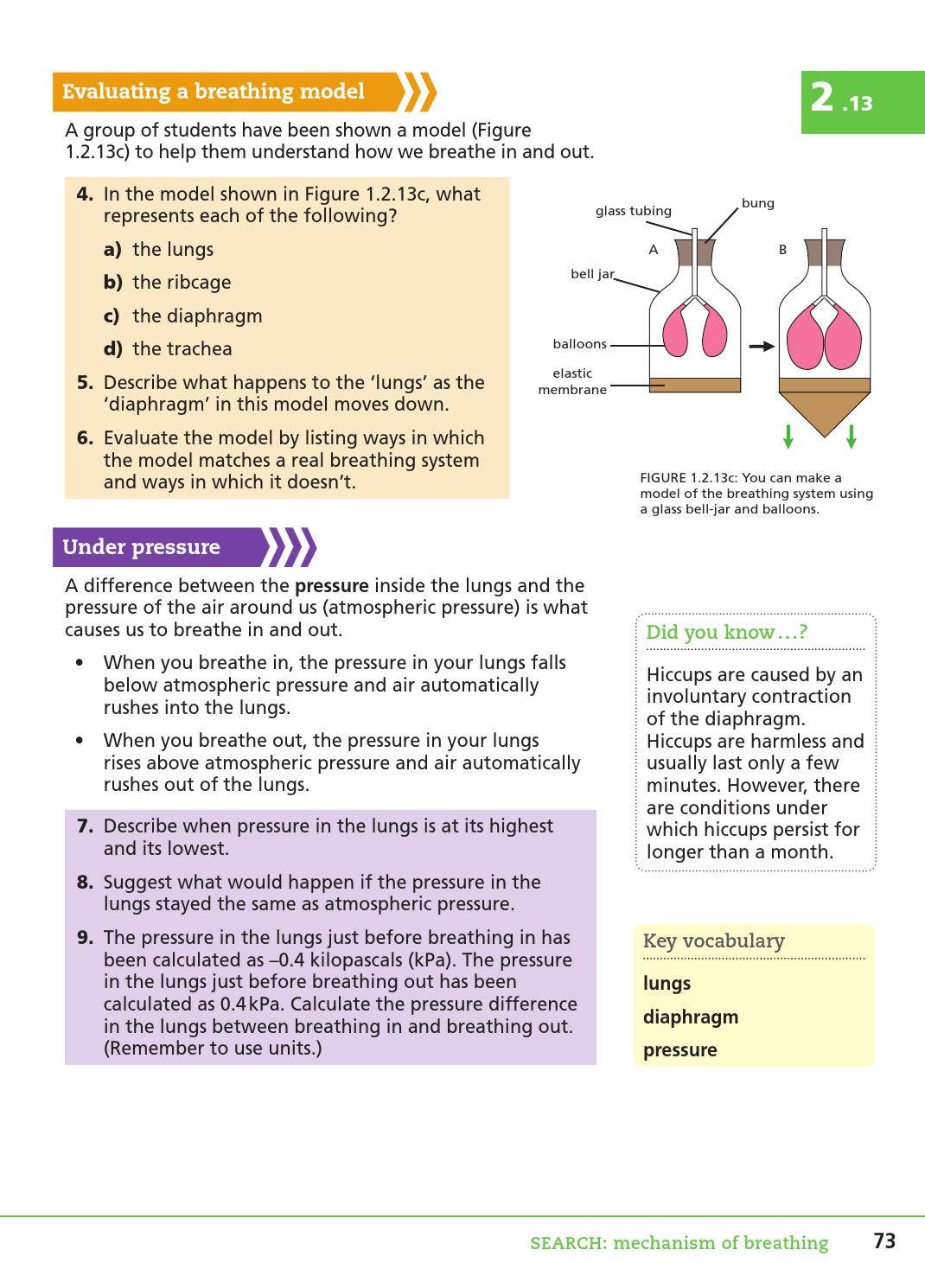 Key Stage 3 Science: Student Book 1 by Collins - Issuu