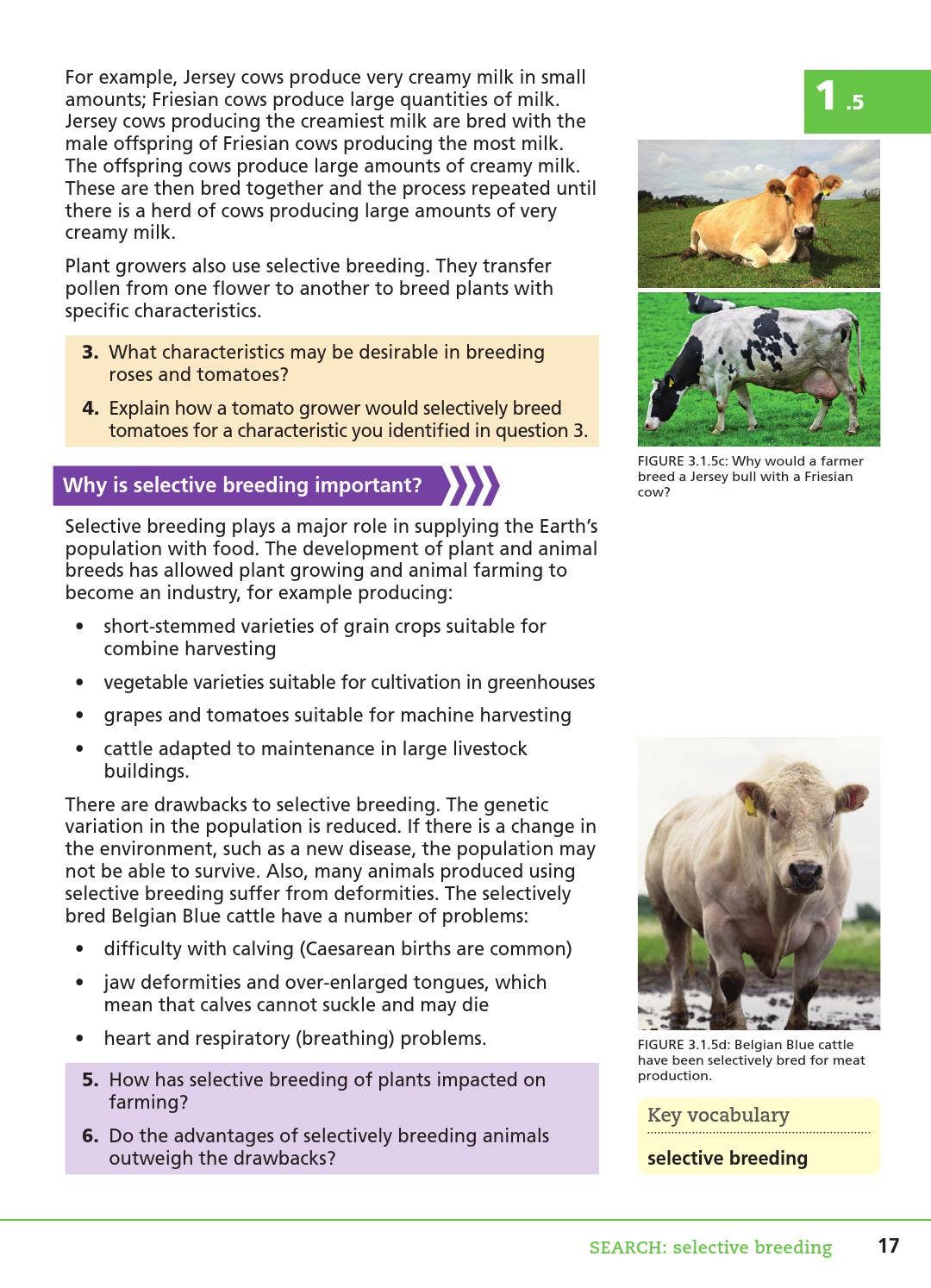 Key Stage Three Science: Student Book 3 by Collins - Issuu