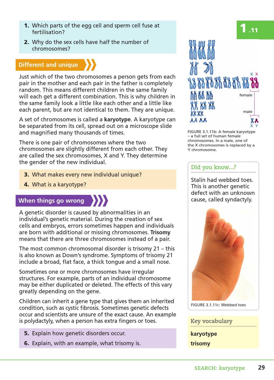 Key Stage Three Science: Student Book 3 by Collins - Issuu