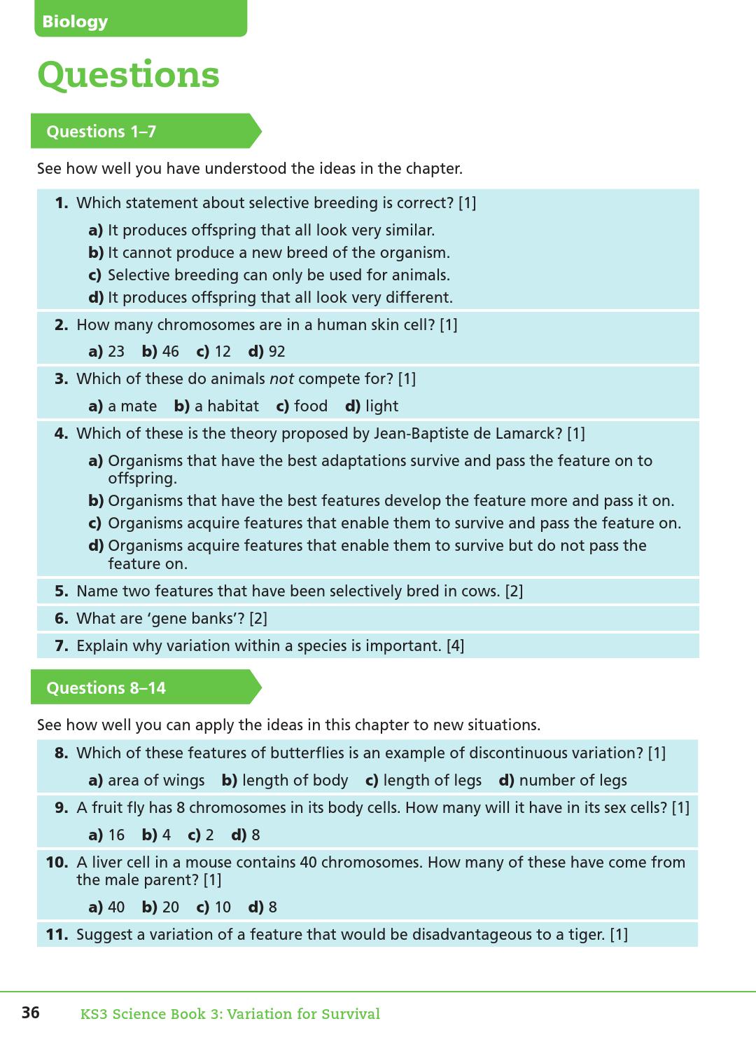 Lesson Review Lesson 3 Science Answers Physical Science Chap