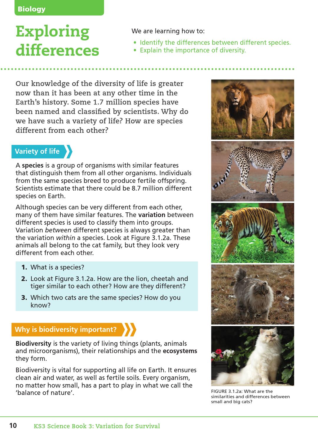 Key Stage Three Science: Student Book 3 by Collins - Issuu