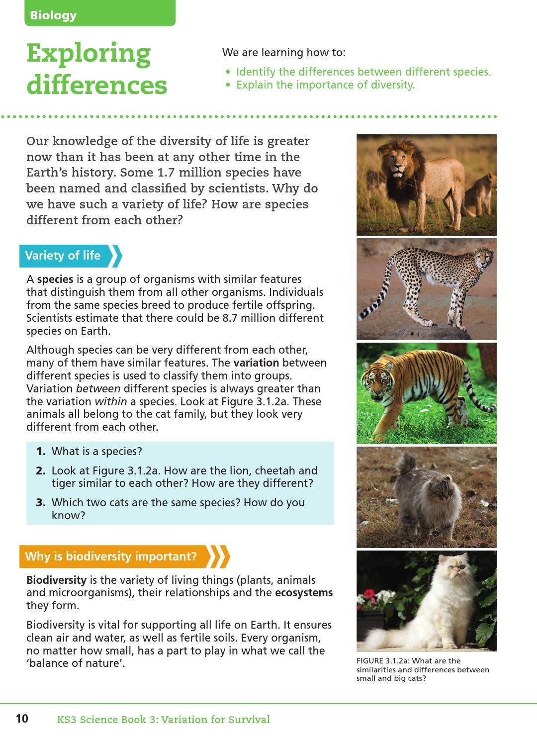 Key Stage Three Science: Student Book 3 by Collins - Issuu