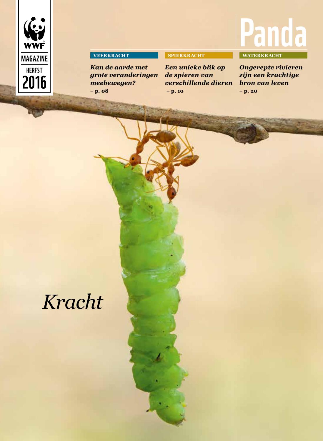 Panda magazine zomer 2016 by Wereld Natuur Fonds - Issuu