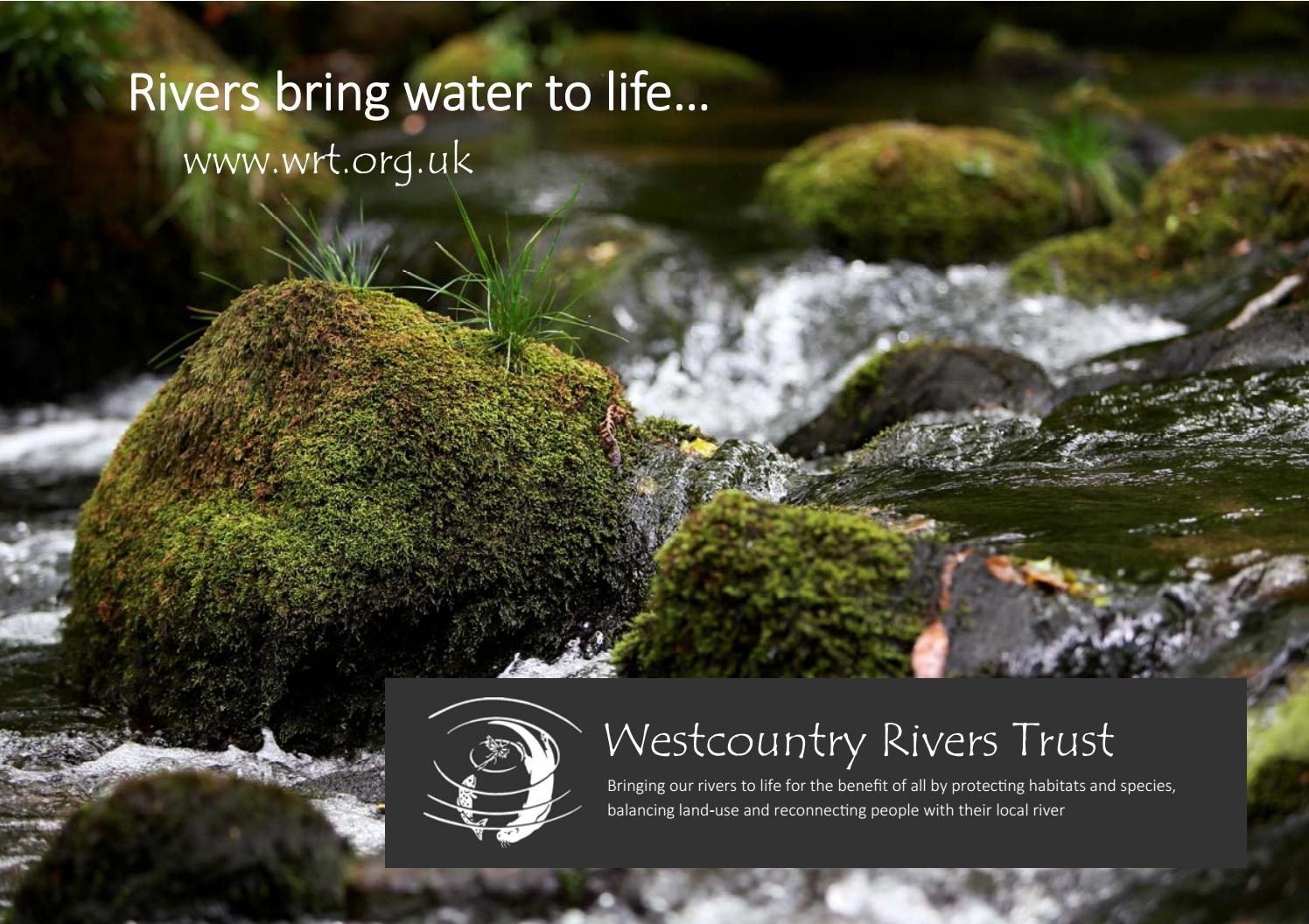 Westcountry Rivers Bring Water to Life by Westcountry Rivers Trust - Issuu
