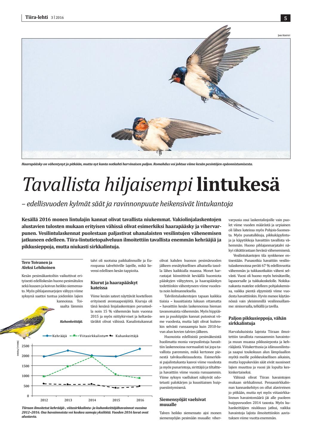 Tiira 3/2016 by BirdLife Suomi - Issuu