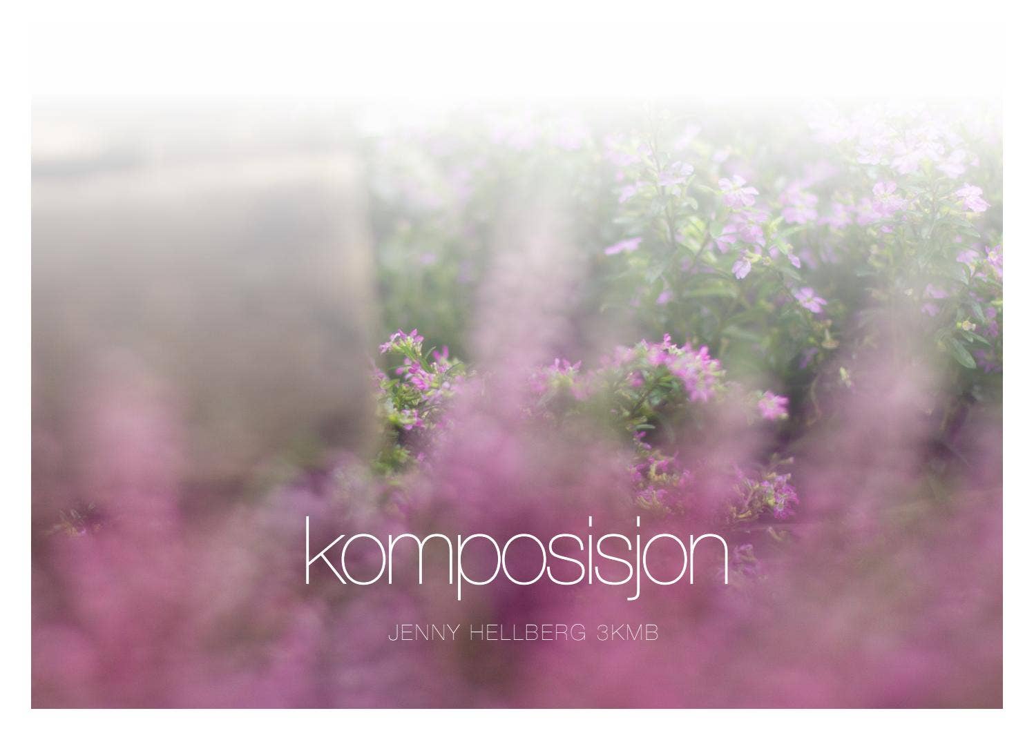 Bildebok by Bleiker vgs. Informasjonsteknologi og medieproduksjon - Issuu