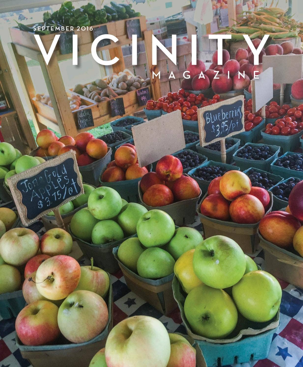 Vicinity Magazine by Vicinity Media Group - Issuu