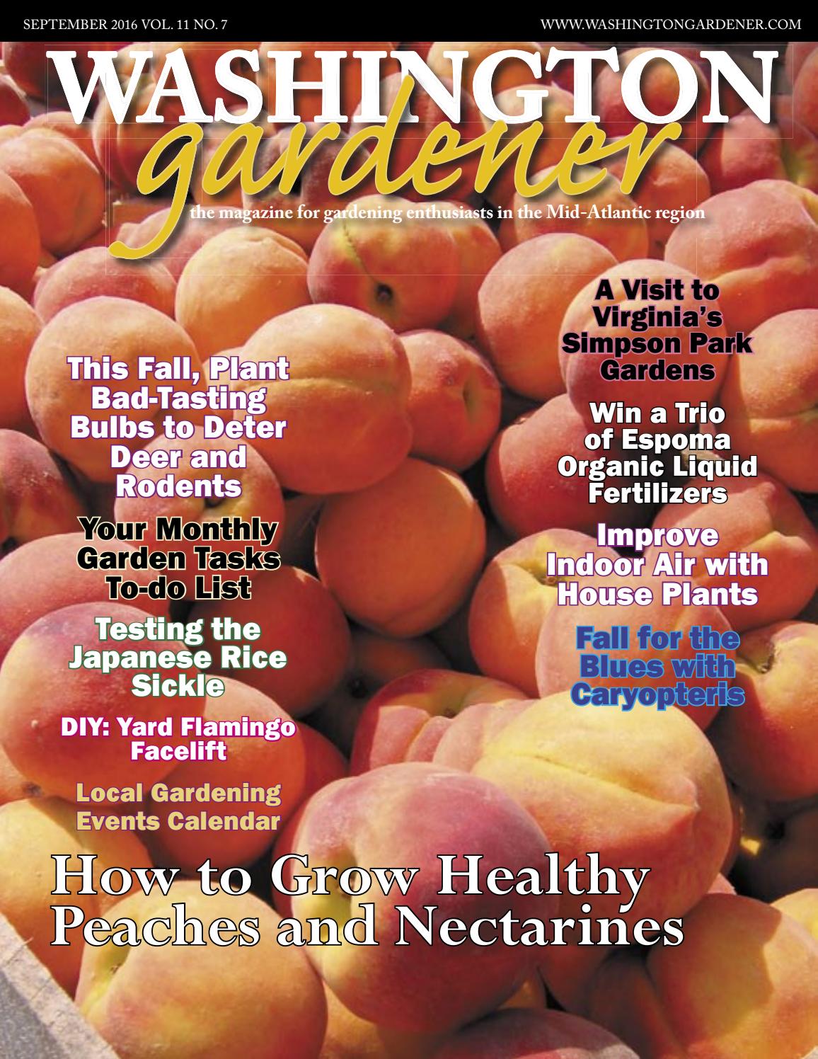 Washington Gardener Magazine September 2016 by Kathy J - Issuu