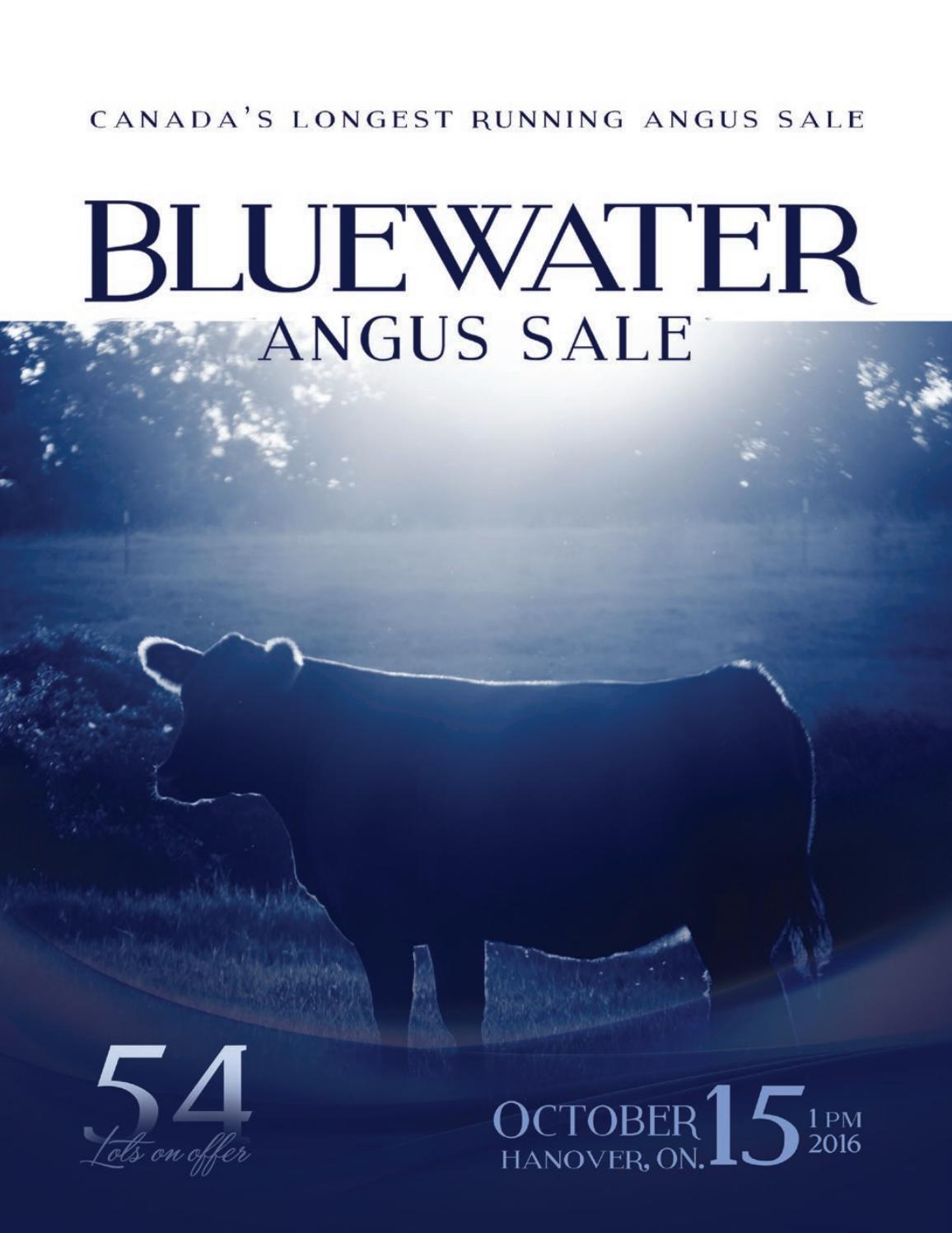 Bluewater Angus Sale by jamieraepittman - Issuu