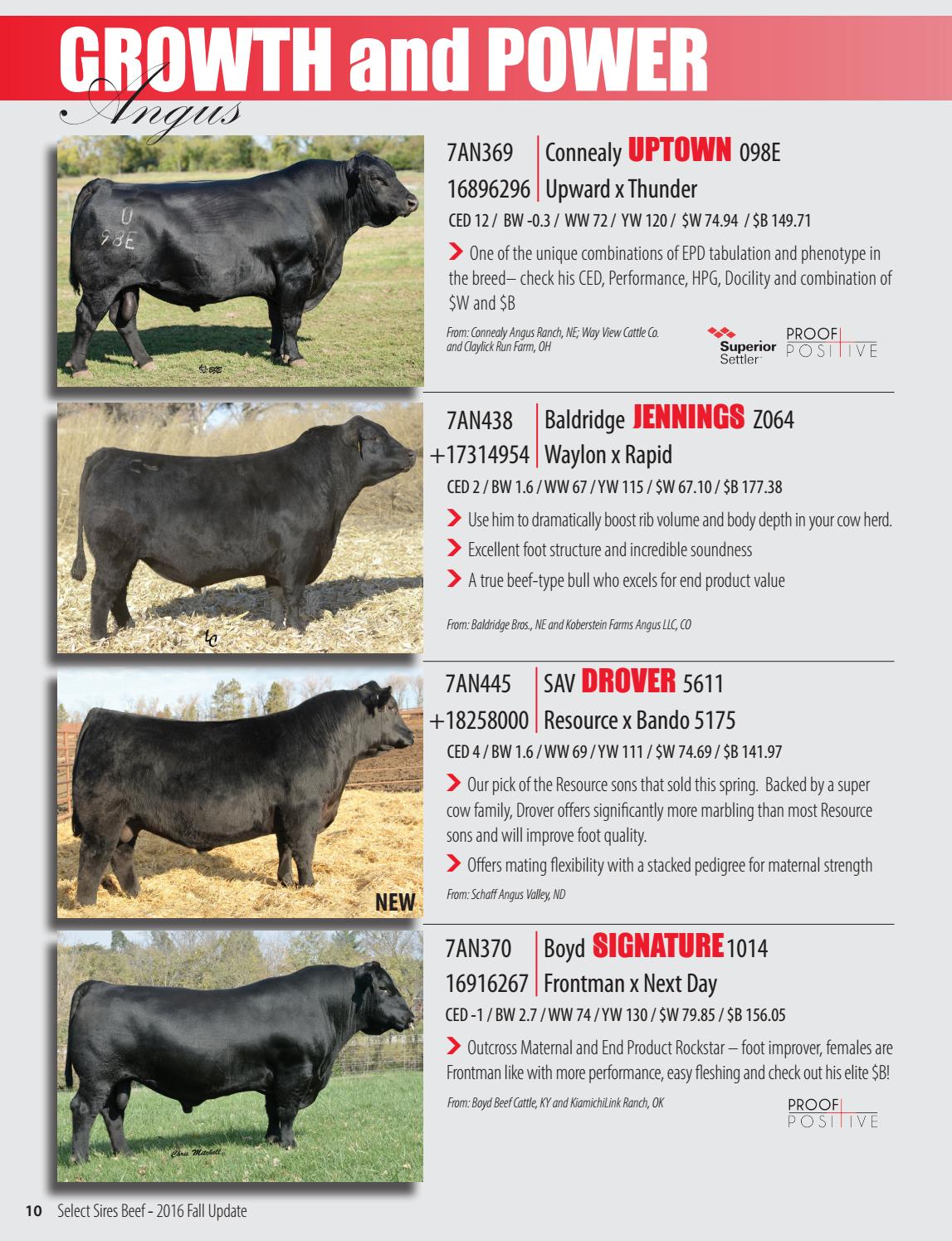 2016 Fall Beef Flyer by Kim West - Issuu