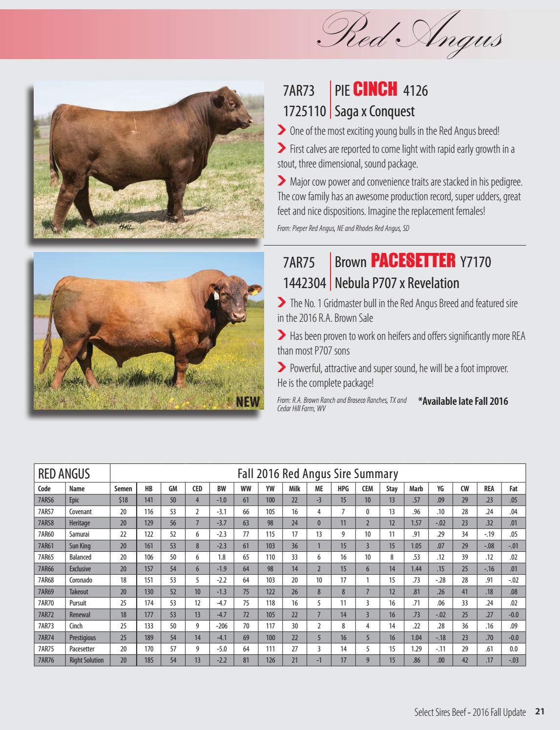2016 Fall Beef Flyer by Kim West - Issuu