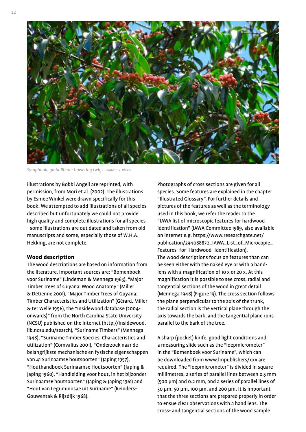 Timber Trees of Suriname by LM Publishers - Issuu