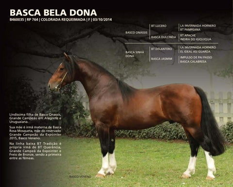 BT Basca - Por Elas 2016 by Daniel abreu - Issuu