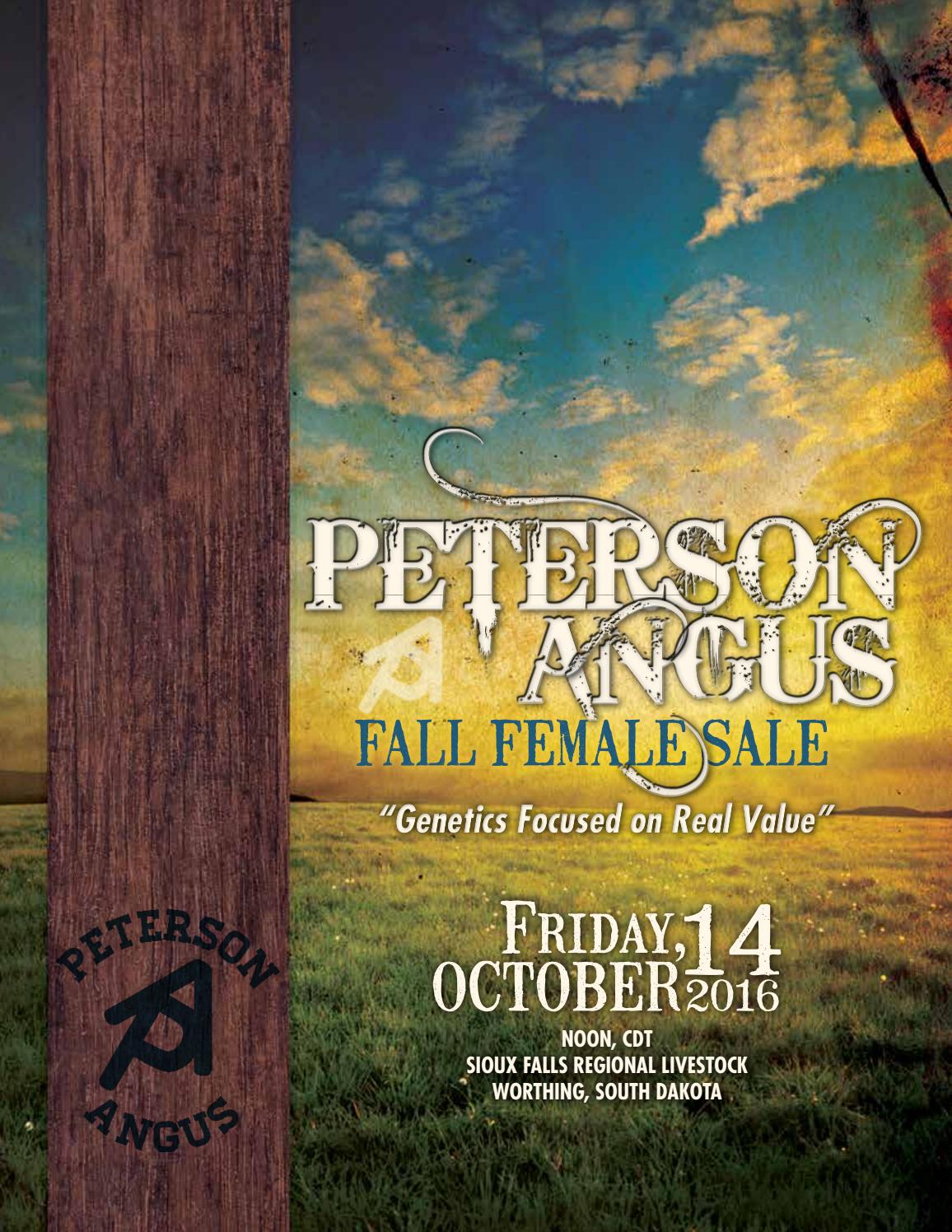 Peterson Angus Fall Female Sale by Precision Marketing - Issuu