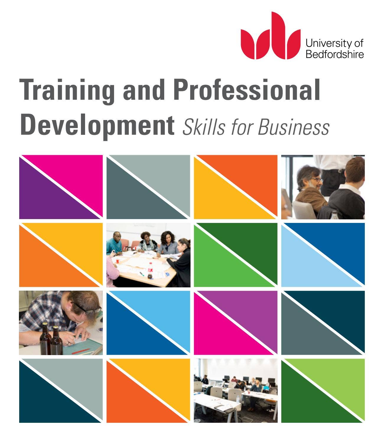Skills for Business - CPD brochure 2016 by University of Bedfordshire ...