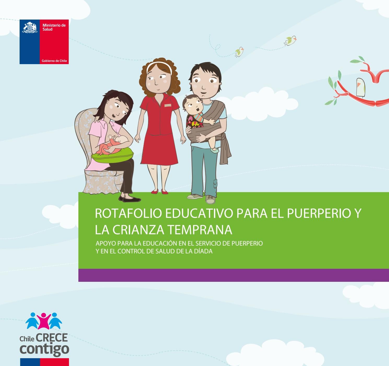 Rotafolio MINSAL by Carola Esquivel - Issuu