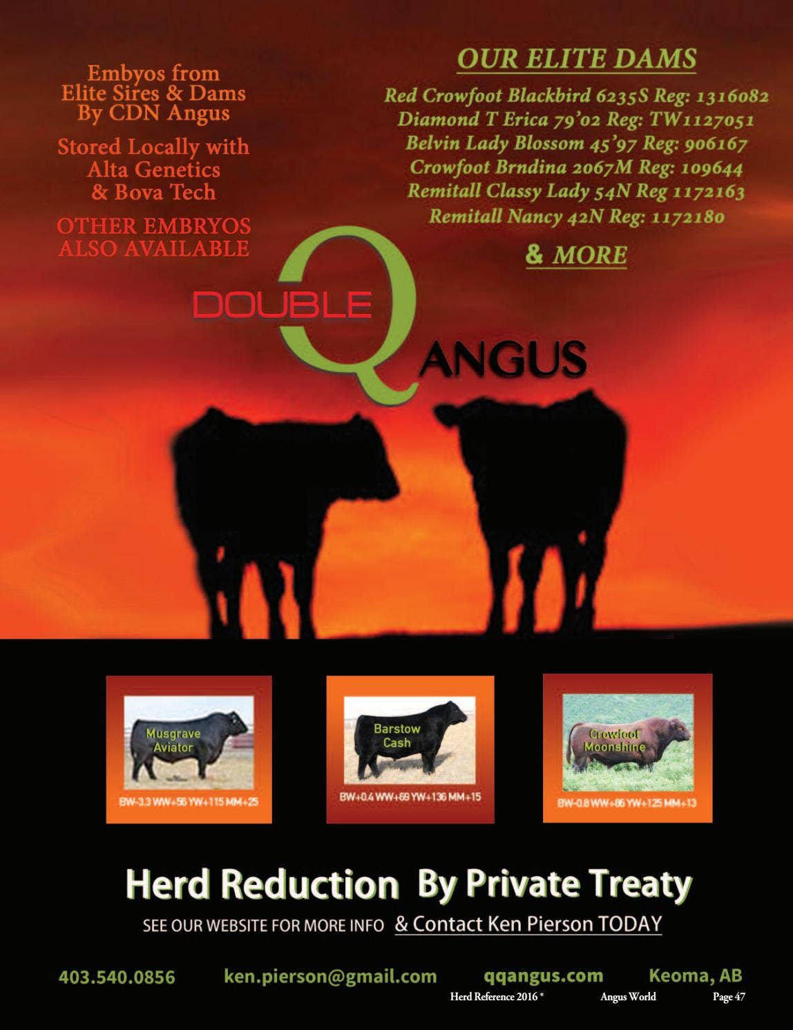 Angus World Herd Reference 2016 by Everything Angus - Issuu