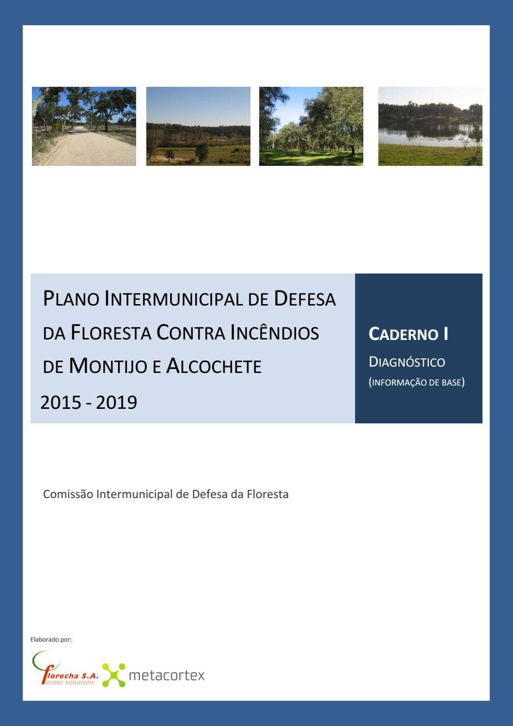 Plano Intermunicipal de Defesa da Floresta Contra Incêndios de Montijo ...