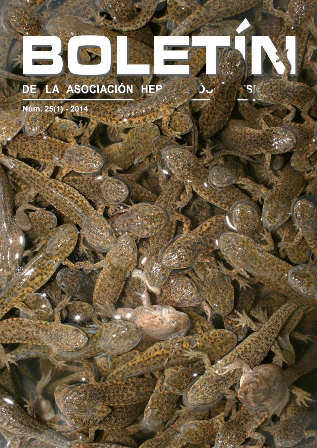 BAHE nº 25 · volumen 1 [2014] by Marcos Pérez de Tudela Gely - Issuu