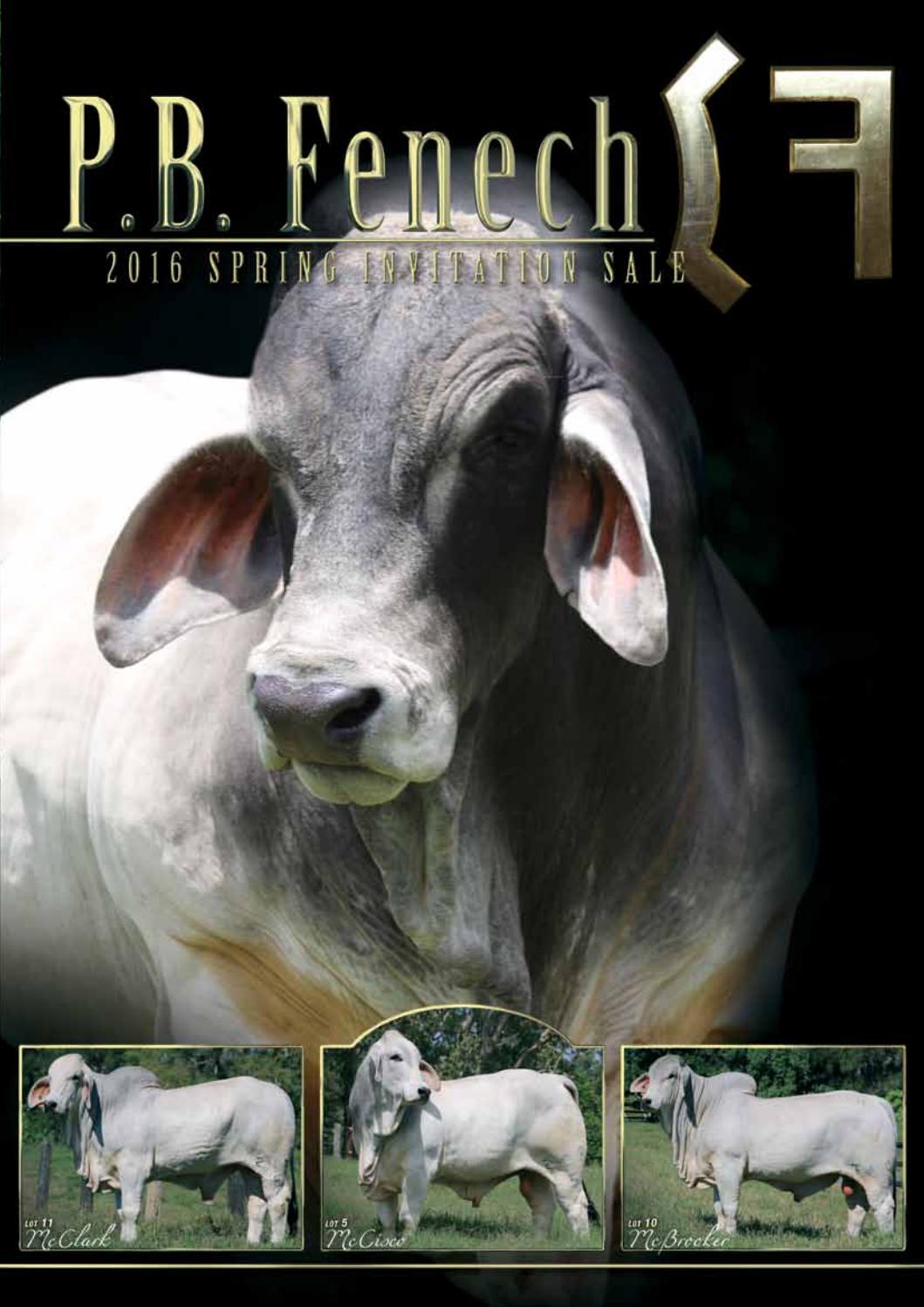 PB Fenech 2016 Spring Invitational Sale by Rural Design Studio - Issuu